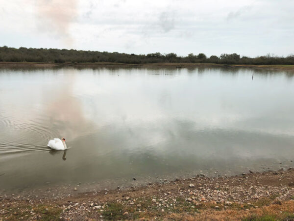 Pond liner for ponds an lakes over 1 Acre | Active Liner