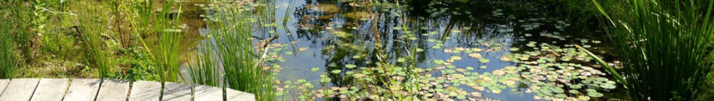 How to build a farm pond | Lonestar Minerals