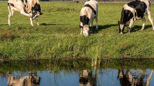 How to build a farm pond | Lonestar Minerals