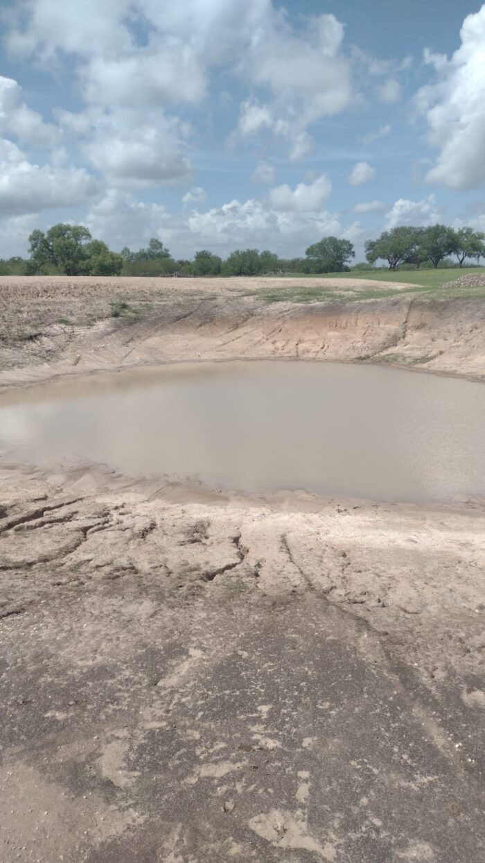 When using bentonite for ponds, don't make this mistake!