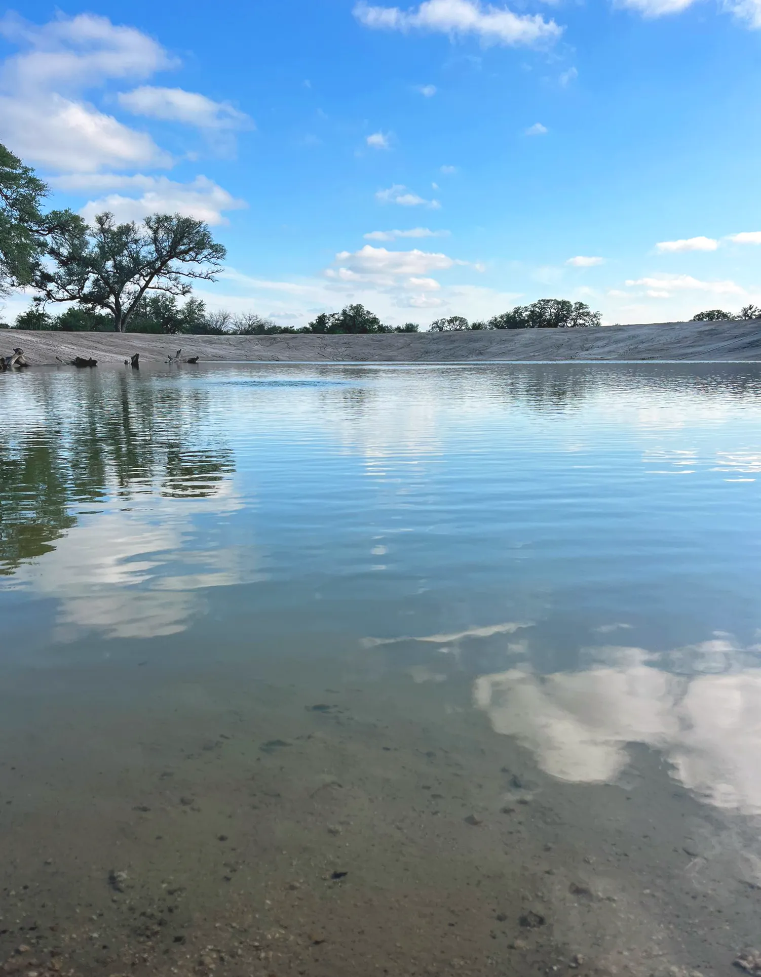 How to Build A Catfish Pond: The Ultimate Guide! | Lonestar