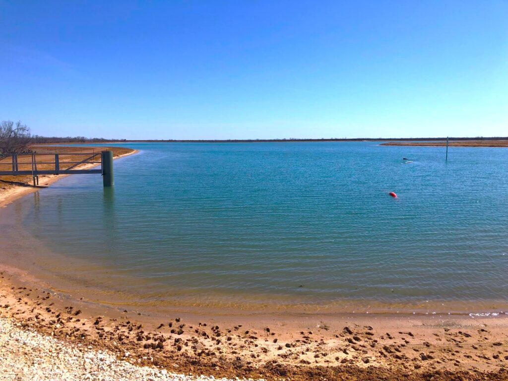 Step-by-Step Guide to Building a Large Pond