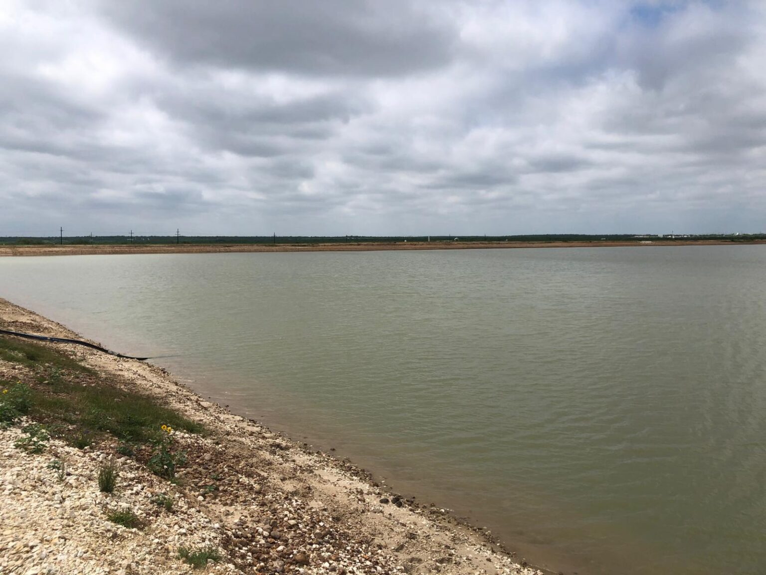 Step-by-Step Guide to Building a Large Pond