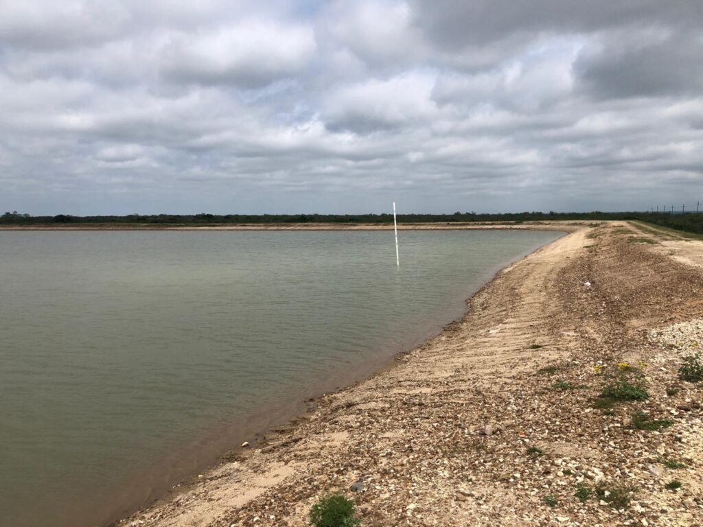 Step-by-Step Guide to Building a Large Pond